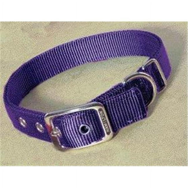 Hamilton 1" Double Thick Nylon Deluxe Dog Collar, 24" long, Purple ...