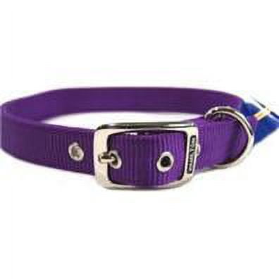 Hamilton 1" Double Thick Nylon Deluxe Dog Collar, 26" long, Purple ...