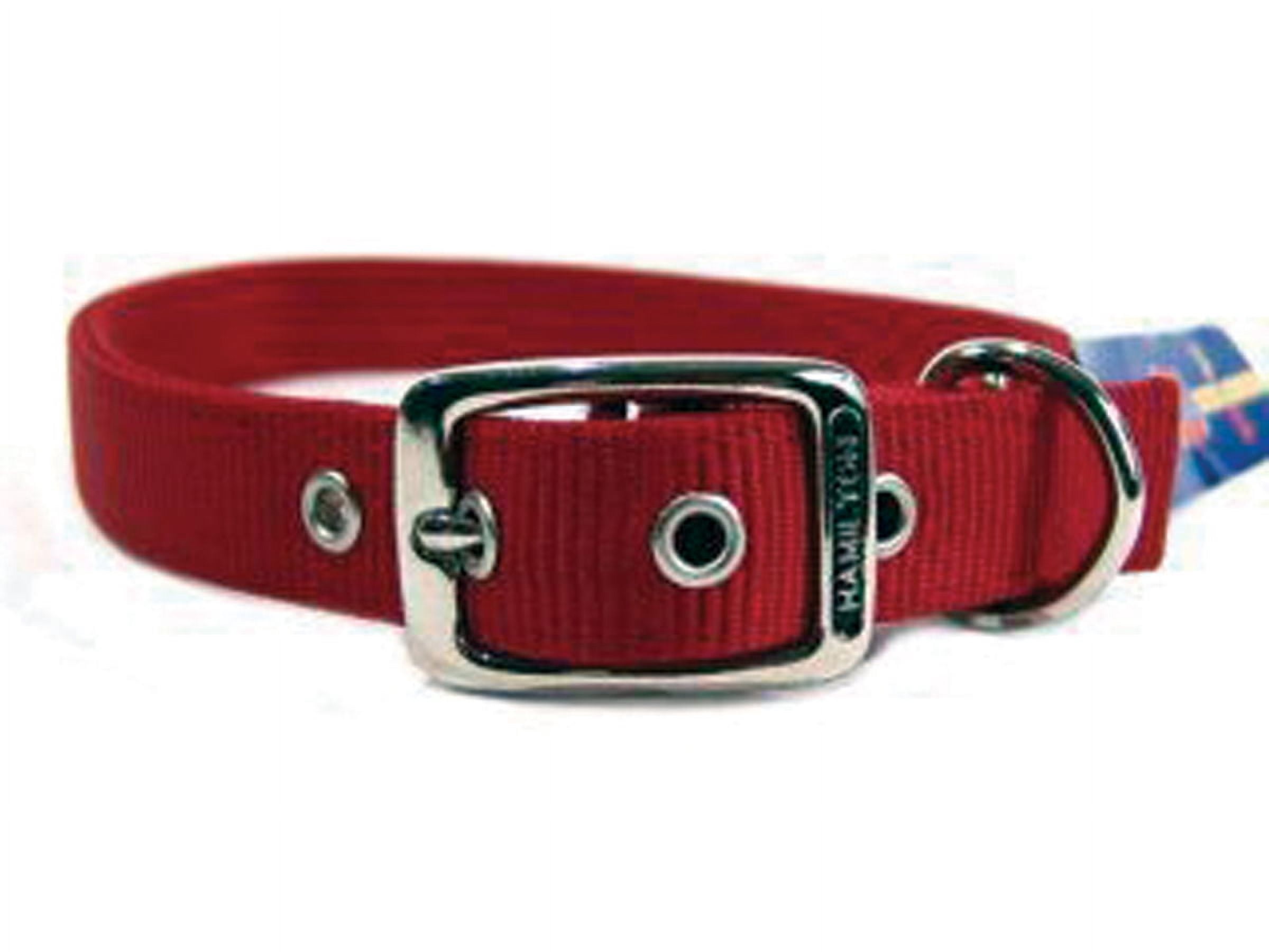 Hamilton 1" Double Thick Nylon Deluxe Dog Collar, 26" long, Red ...
