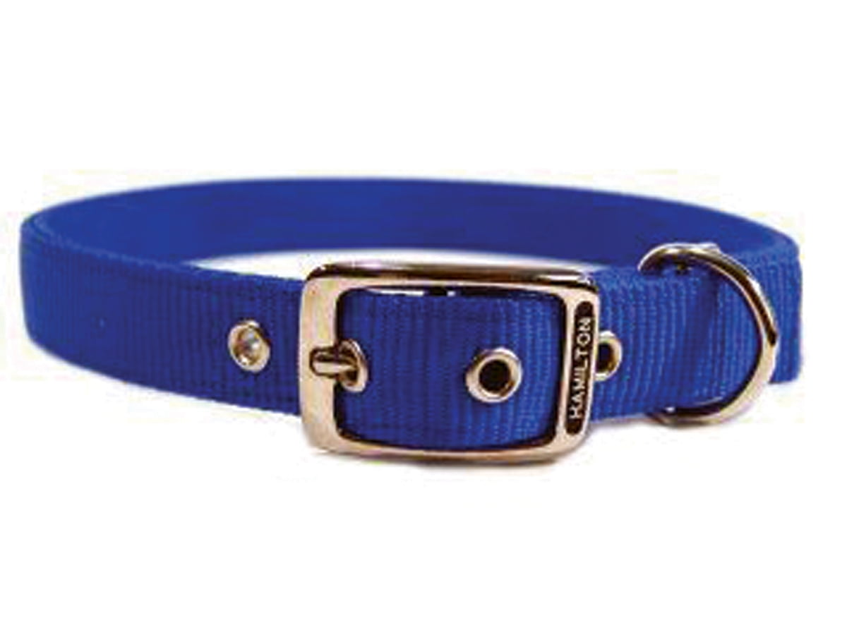Hamilton 1" Double Thick Nylon Deluxe Dog Collar, 28" long, Blue ...