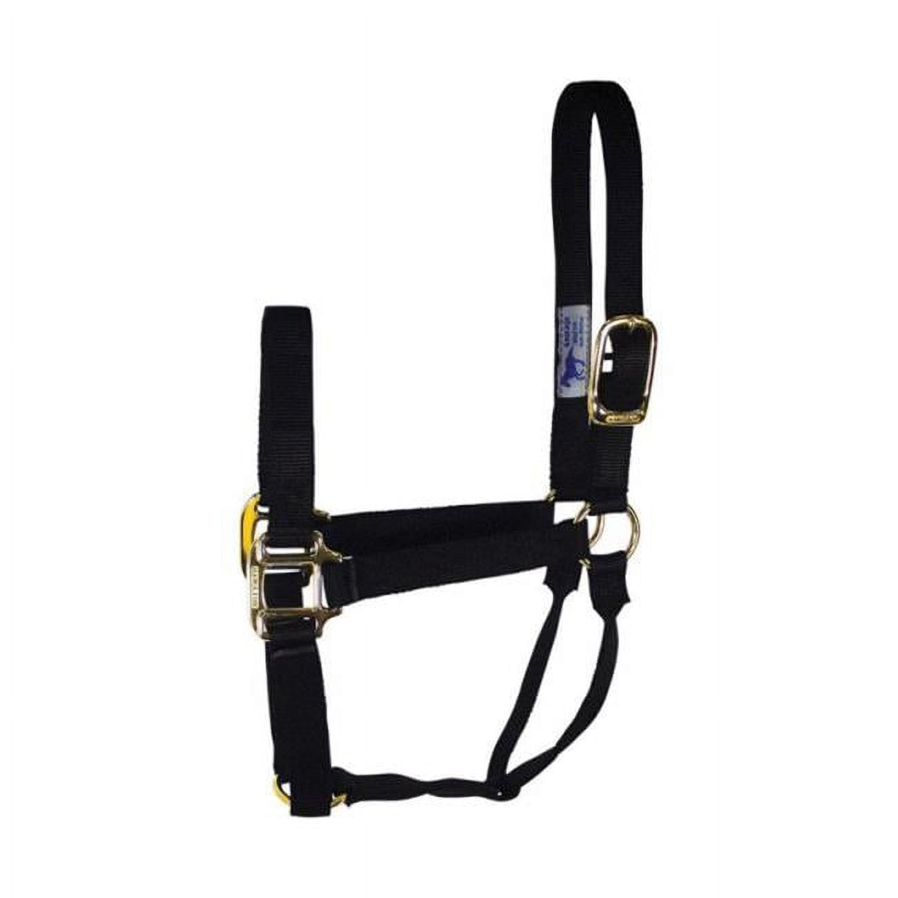 Hamilton 1QSMBK Nylon Horse Halter Black - Small - Walmart.com