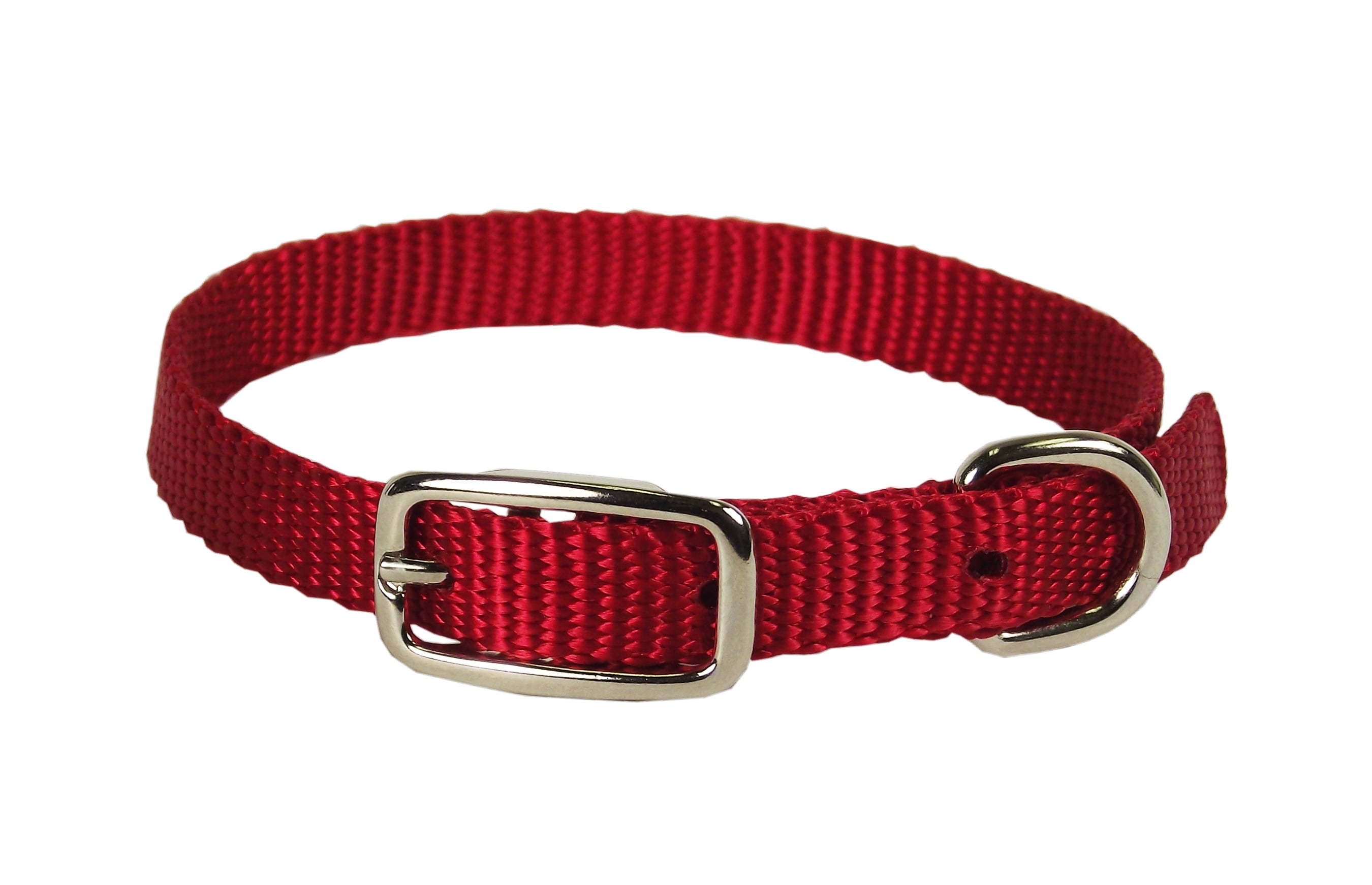 Hamilton 3/8" Single Thick Nylon Deluxe Dog Collar, 12 inch, Red ...