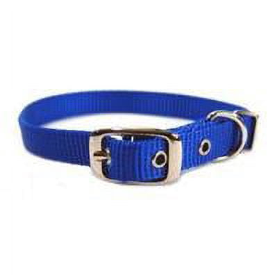 Hamilton 5/8" Single Thick Nylon Deluxe Dog Collar, 18 inch, Blue ...