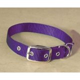 Hamilton 5/8" Single Thick Nylon Deluxe Dog Collar, 18 inch, Purple ...