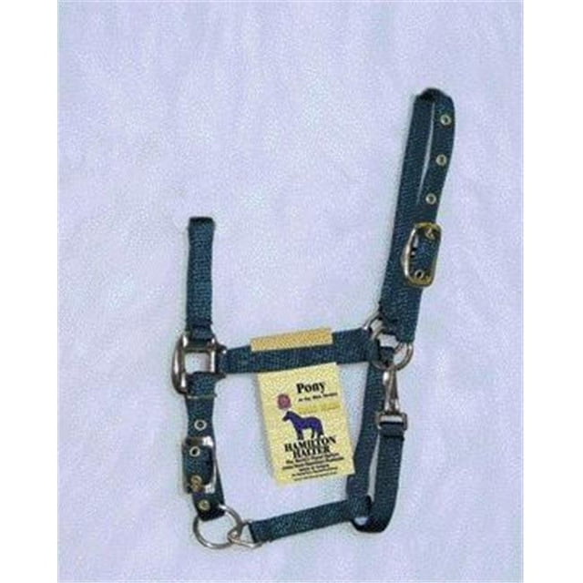 Hamilton Adjustable Chin Horse Halter With Snap - Hunter Green - Pony ...