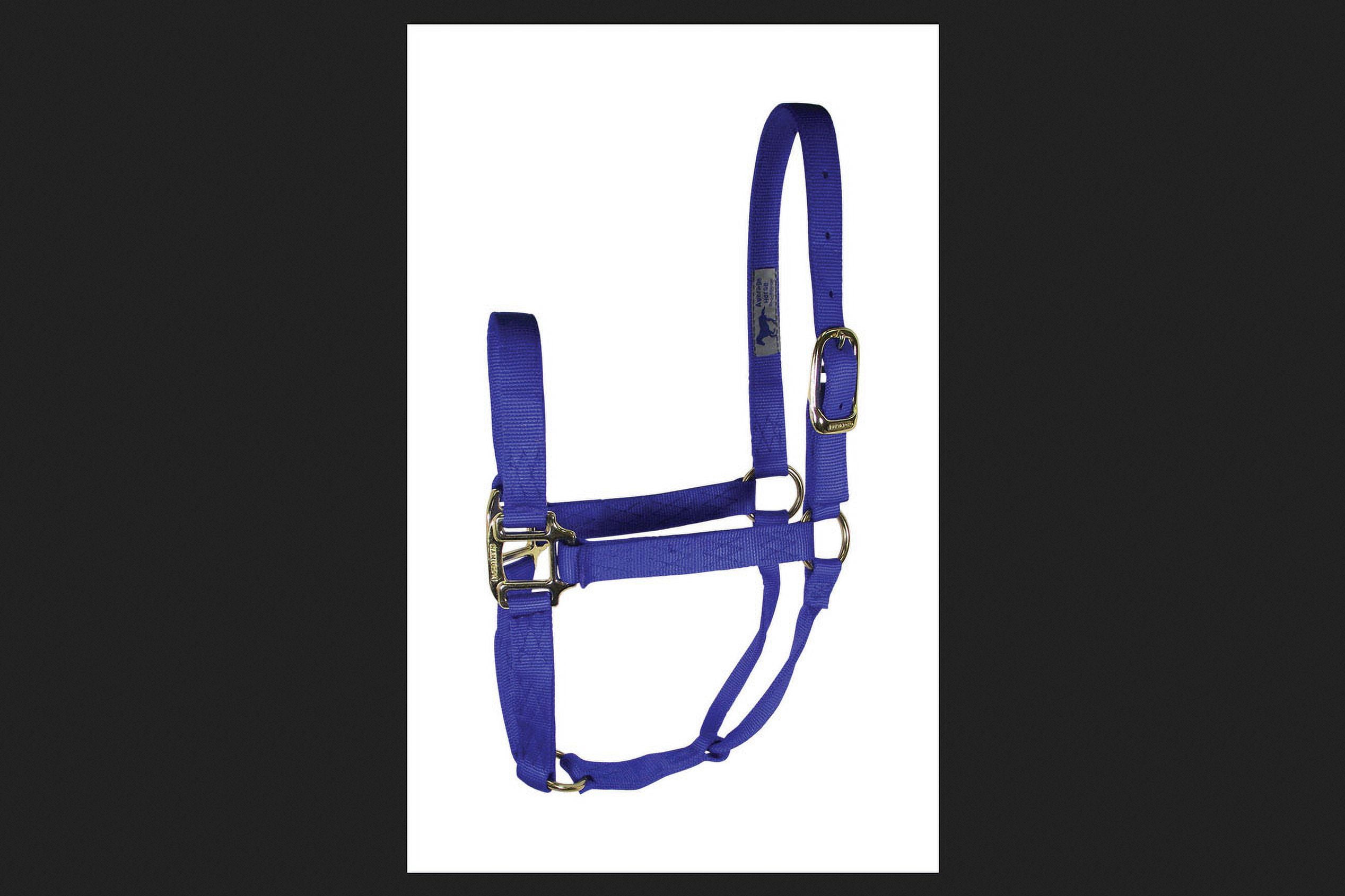 Hamilton Blue Nylon Halter For Horse Large - Walmart.com