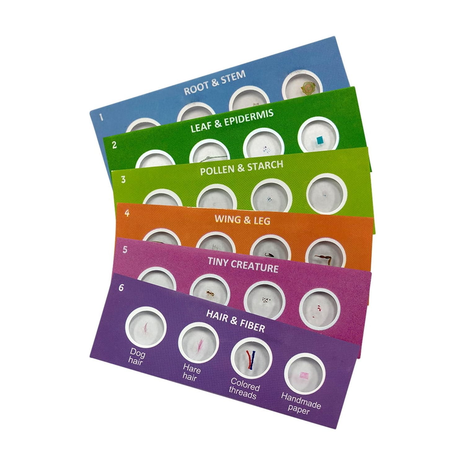 Hamilton Buhl Prepared Slides, Scout - Walmart.com