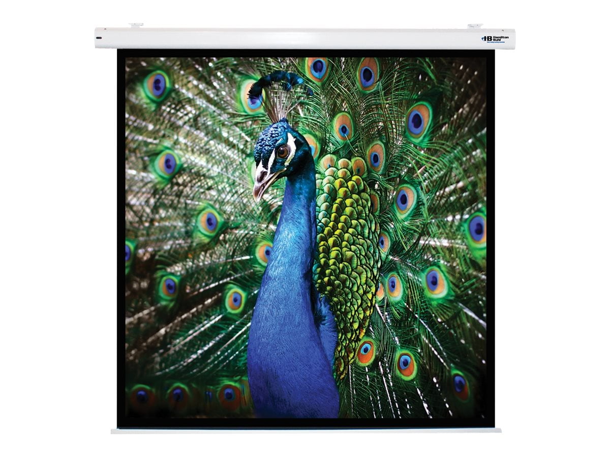 Hamilton Buhl Square Format - Projection screen - ceiling mountable ...