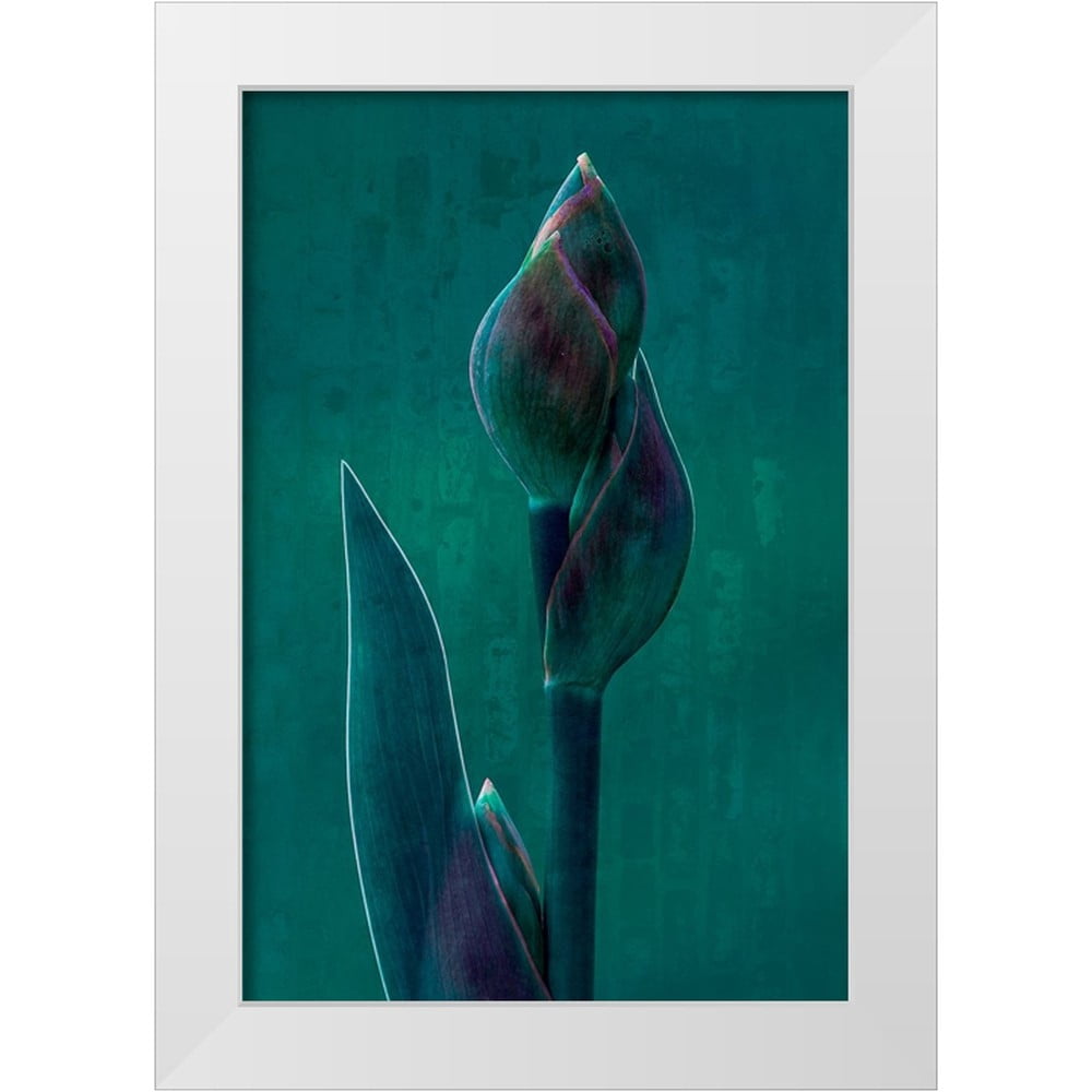 Hamilton, Chris 11x14 White Modern Wood Framed Museum Art Print Titled ...
