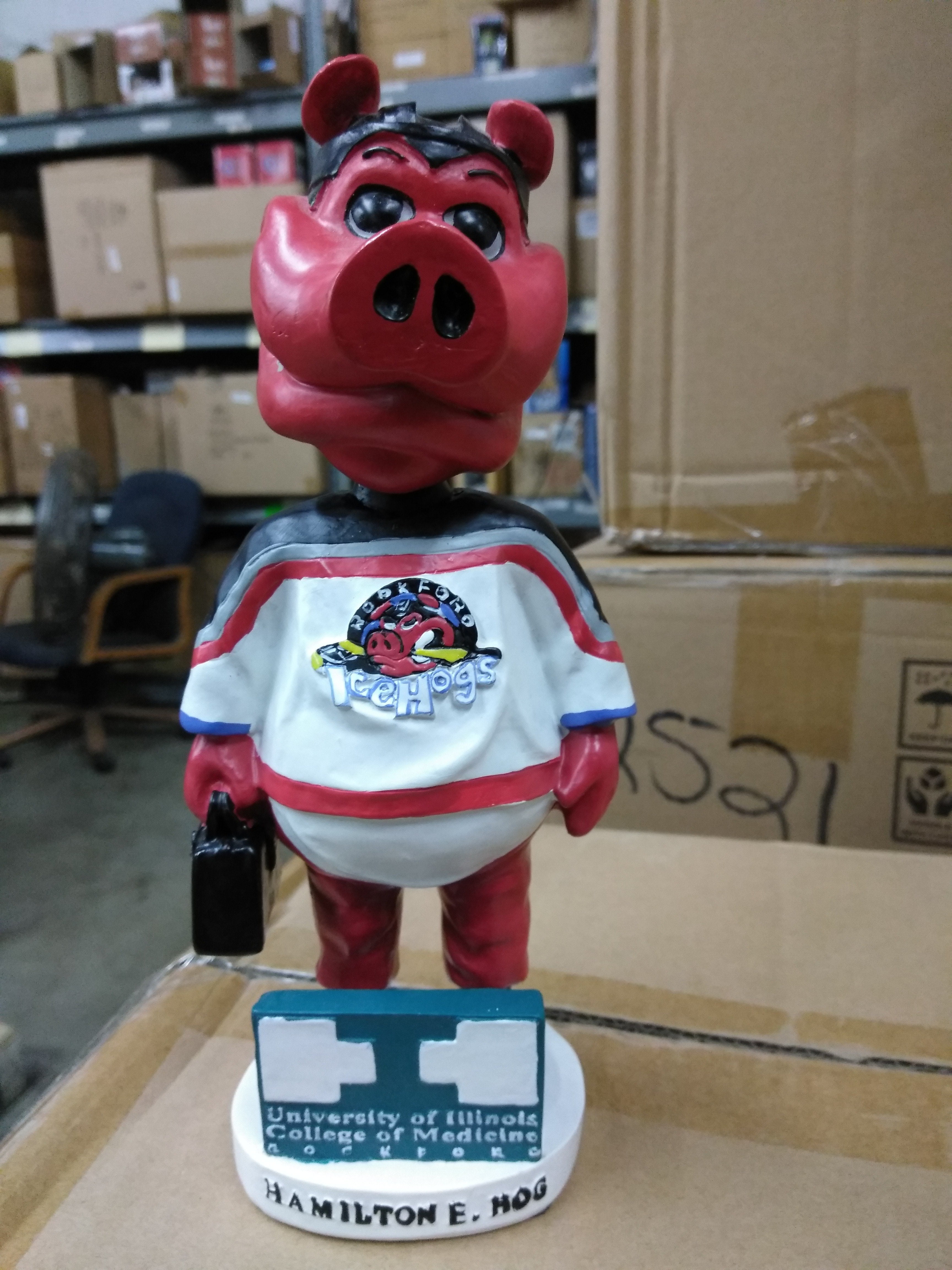 Hamilton E. Hog Hammy Rockford Icehogs Mascot SGA Rockford Icehogs ...