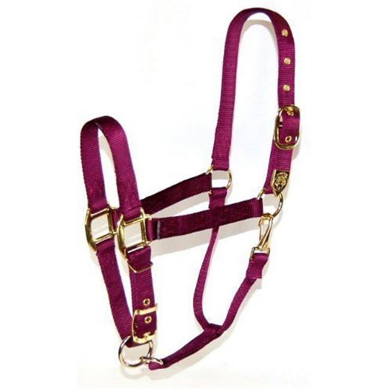 Hamilton Halter 441201 1 in. Adjustable Chin Strap Halter with Snap ...