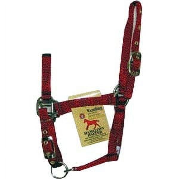 Hamilton Halter Company - Adjustable Chin Halter- Red Foal - 3DA FLRD ...