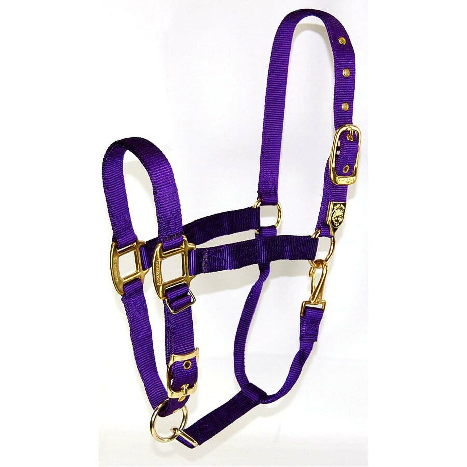 Hamilton Halter Company - Adjustable Chin Halter With Snap- Purple ...
