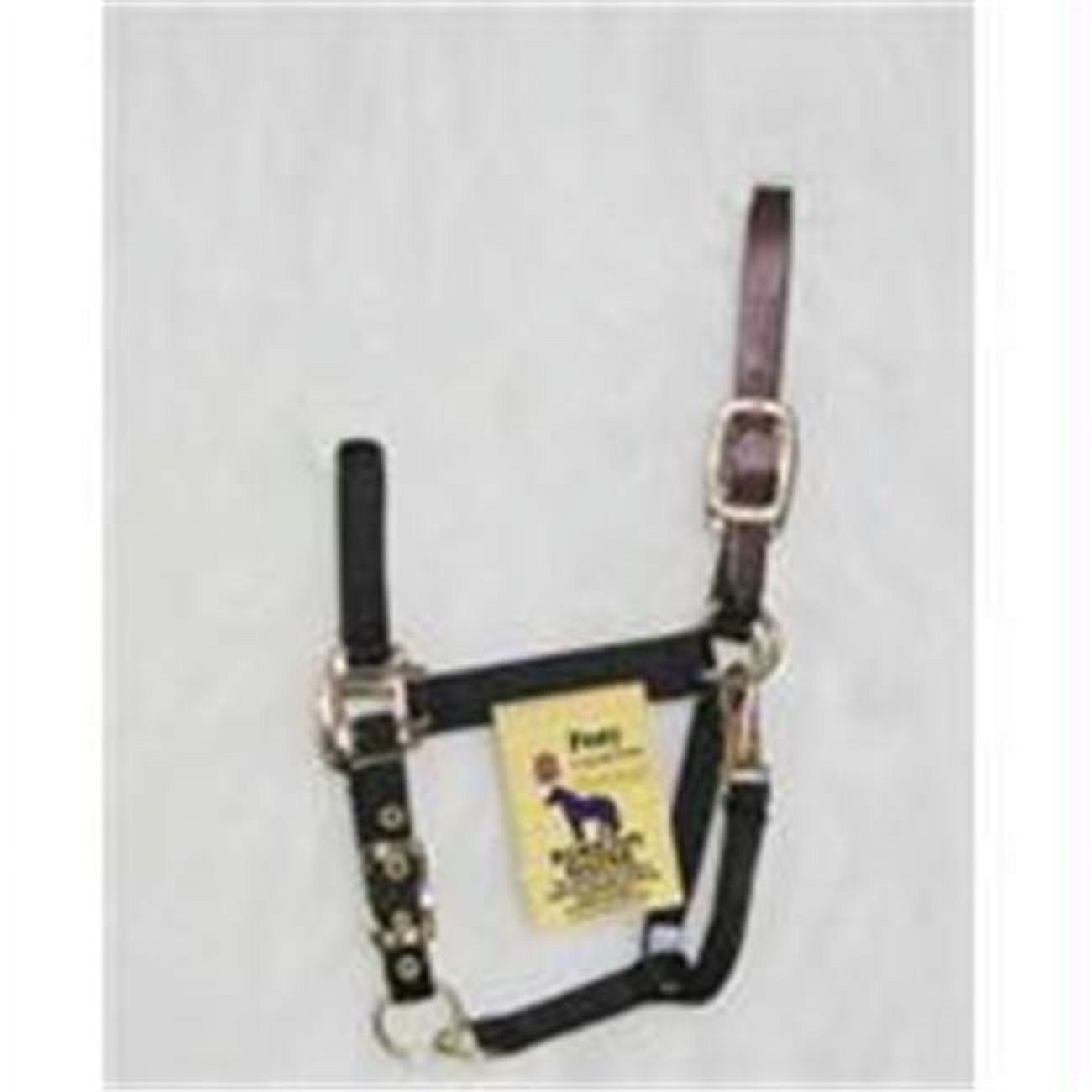 Hamilton Halter Company - Adjustable Halter With Leather Headpole- Black Pony - 3DLAS POBK ...