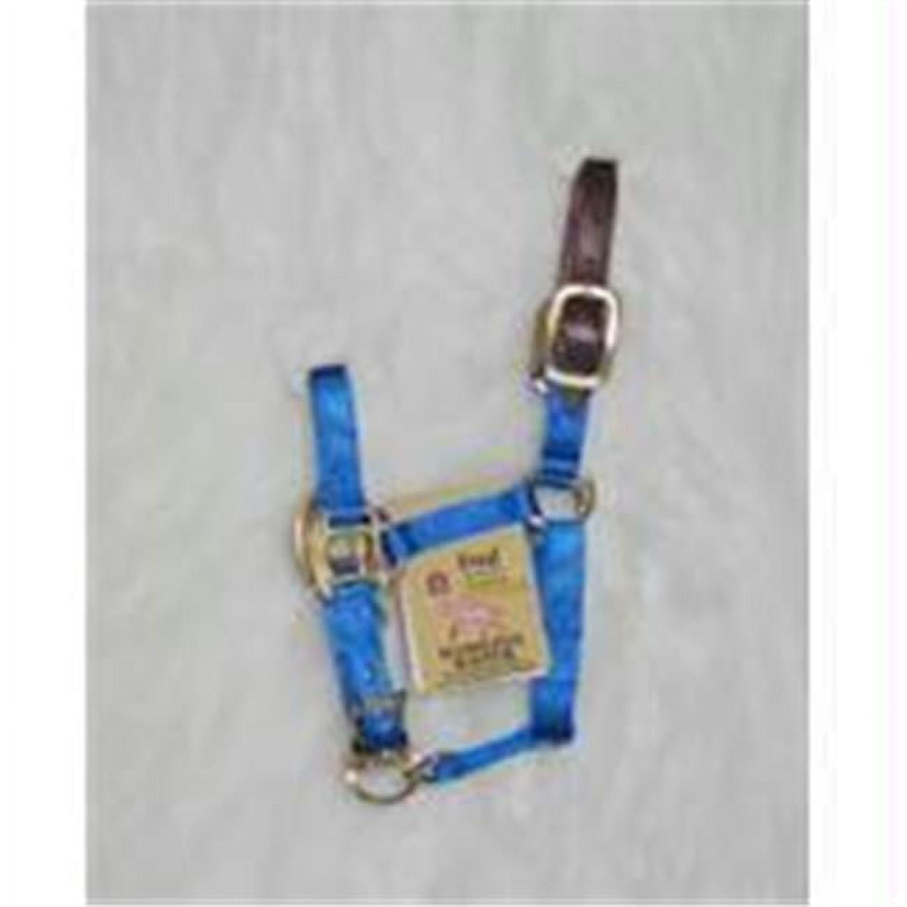 Hamilton Halter Company-Adjustable Horse Halter With Leather Headpole ...