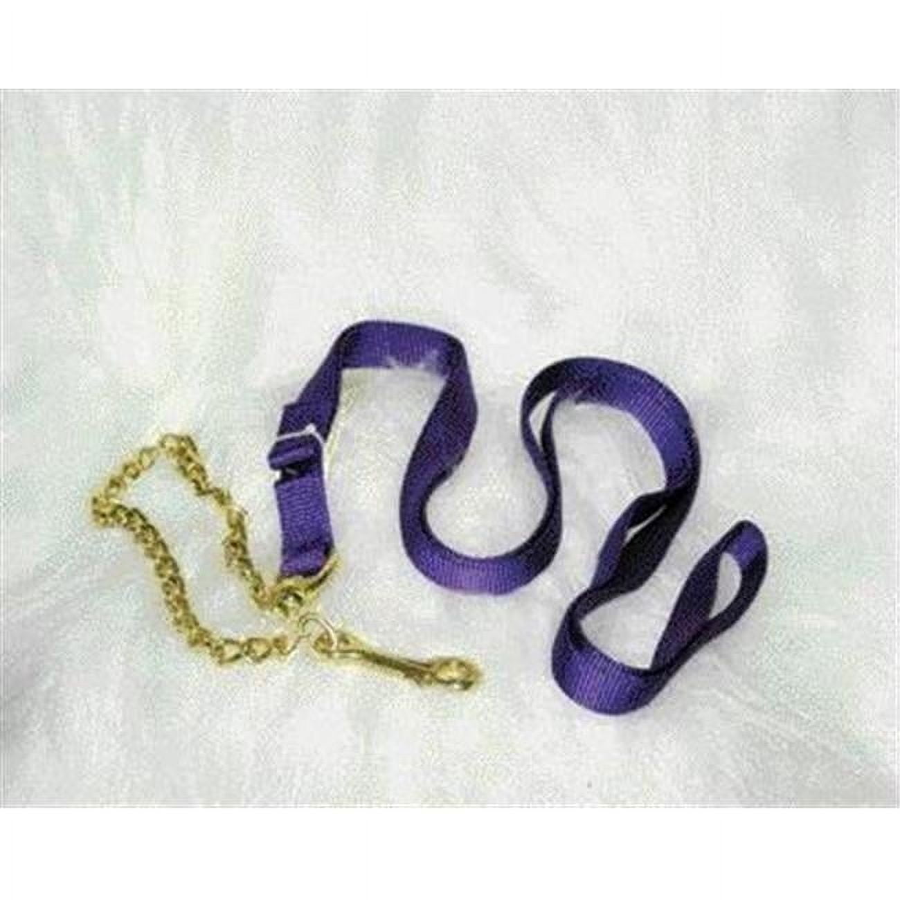 Hamilton Halter Company - Nylon Lead With Chain & Snap- Purple 7 Feet ...