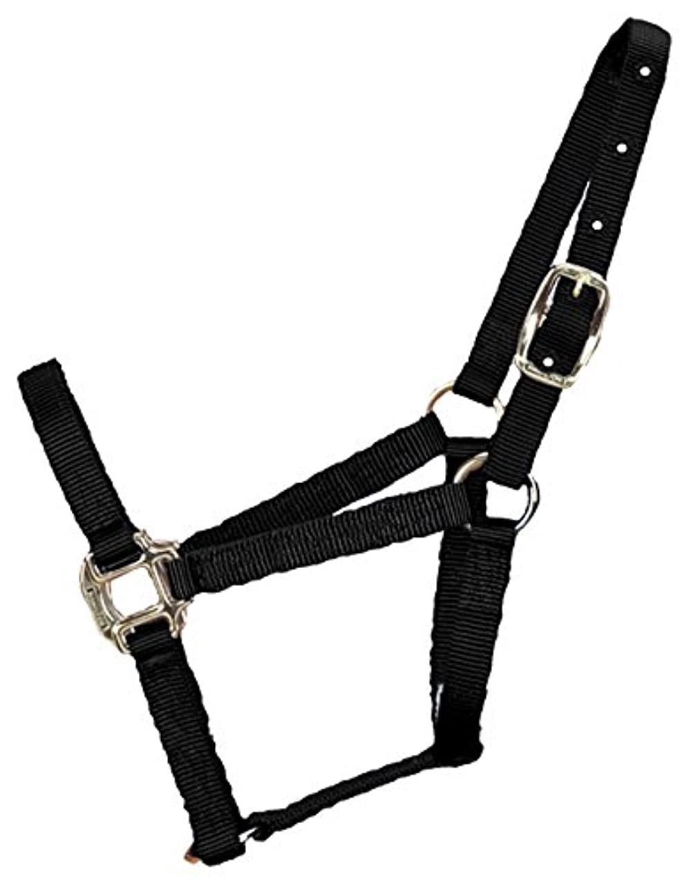 Hamilton Headstall Bridle Set - Walmart.com