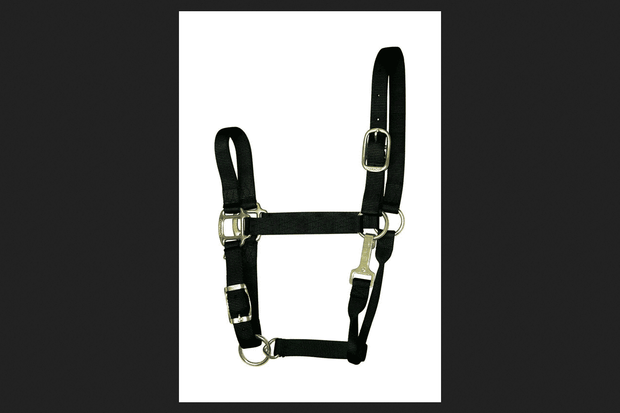 Hamilton Nylon Halter - Walmart.com
