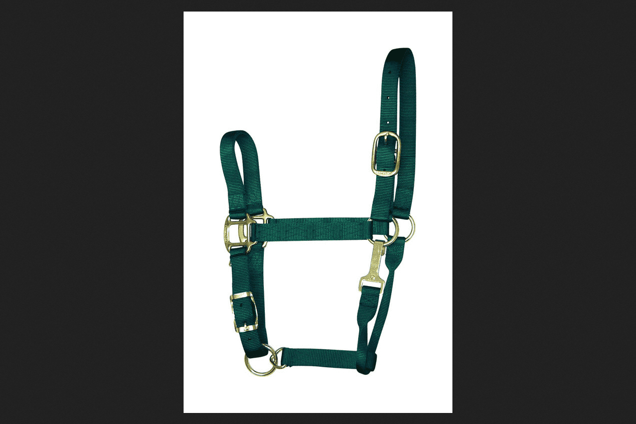 Hamilton Nylon Halter - Walmart.com