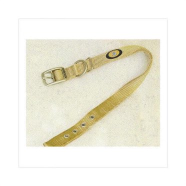 Hamilton 1" Double Thick Nylon Deluxe Dog Collar, 22" long, Purple ...