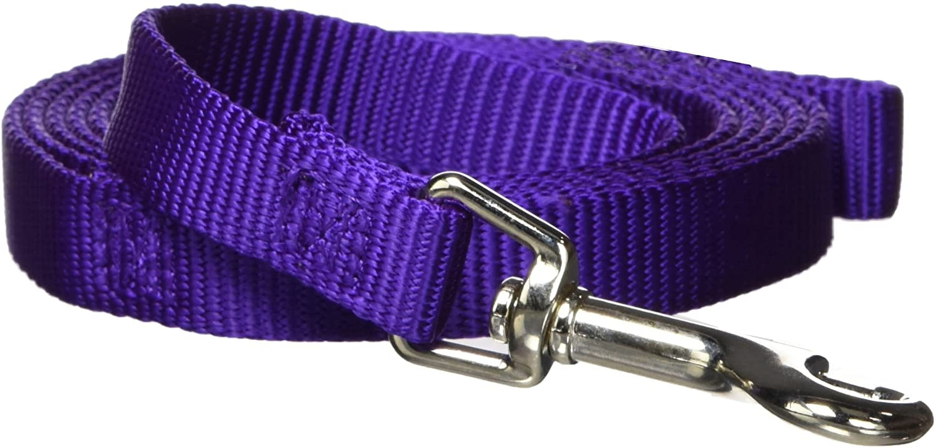 Hamilton Single Thick Deluxe Nylon Lead with Swivel Snap, 5/8-Inch by 6 ...