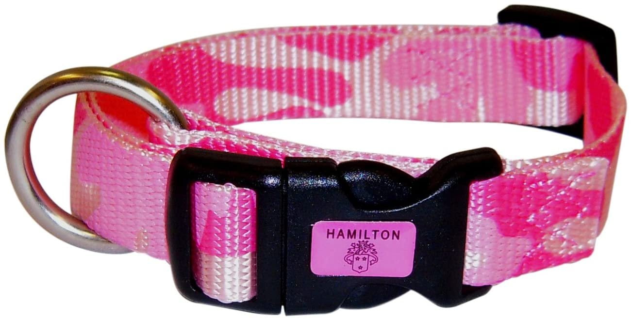 Hamilton Small Dog Collar Nylon with Brushed Hardware, 8" to 14", Pink ...