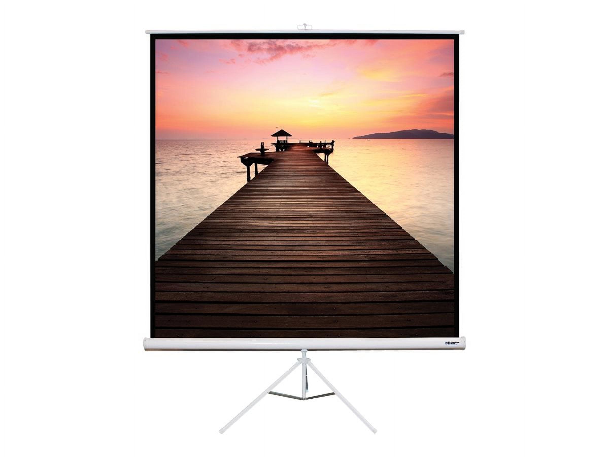 HamiltonBuhl 99" Diag. (70x70) Tripod Projector Screen, Square Format ...