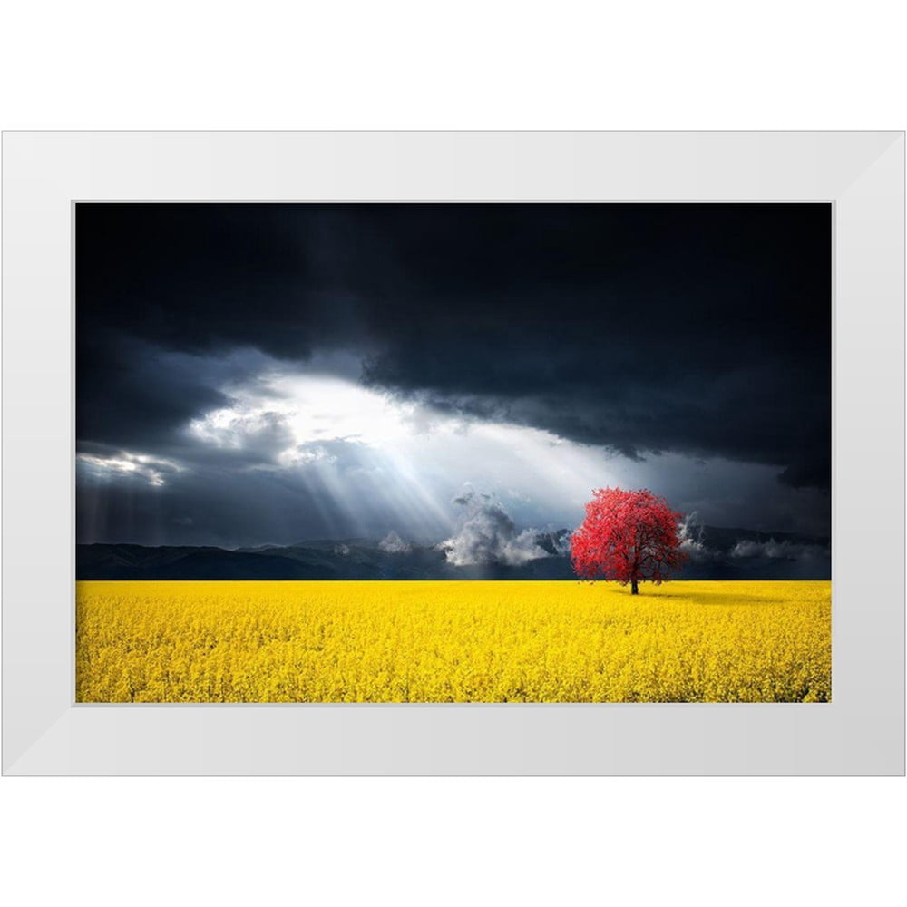 Hamiti, Bess 14x11 White Modern Wood Framed Museum Art Print Titled - A ...
