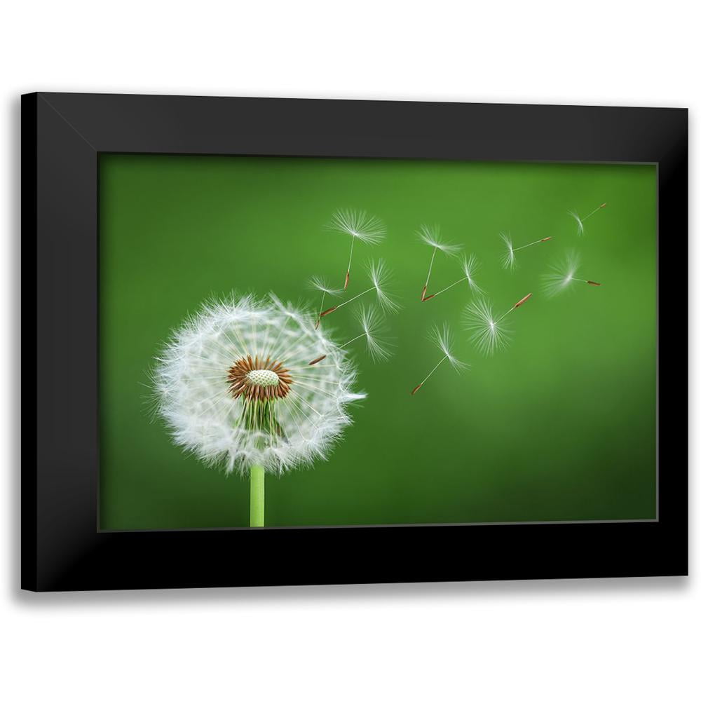 Hamiti, Bess 24x17 Black Modern Framed Museum Art Print Titled ...