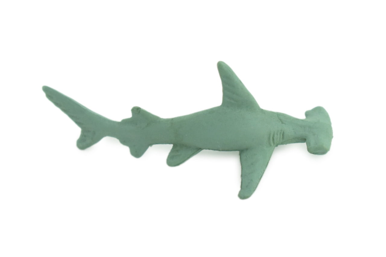 Hammerhead Shark, Pelagic sharks, Marine Fish, Educational, Realistic ...