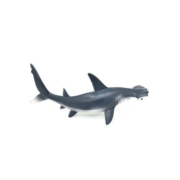 Hammerhead Shark