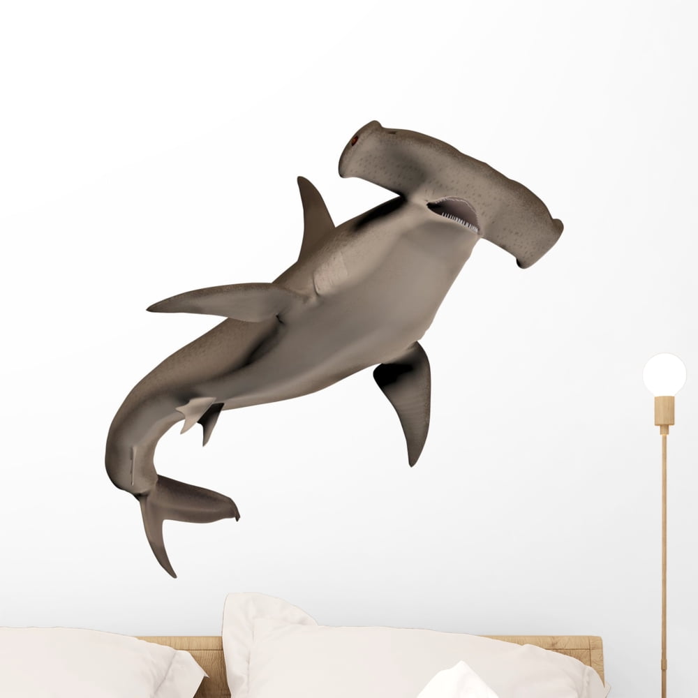 Hammerhead Shark Wall Decal by Wallmonkeys Peel and Stick Graphic (24 ...