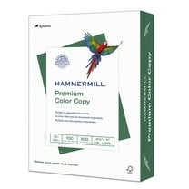 Hammermill Copy Paper, 28 lb, 100 Brightness, 8.5x14, Photo White, 500 ...