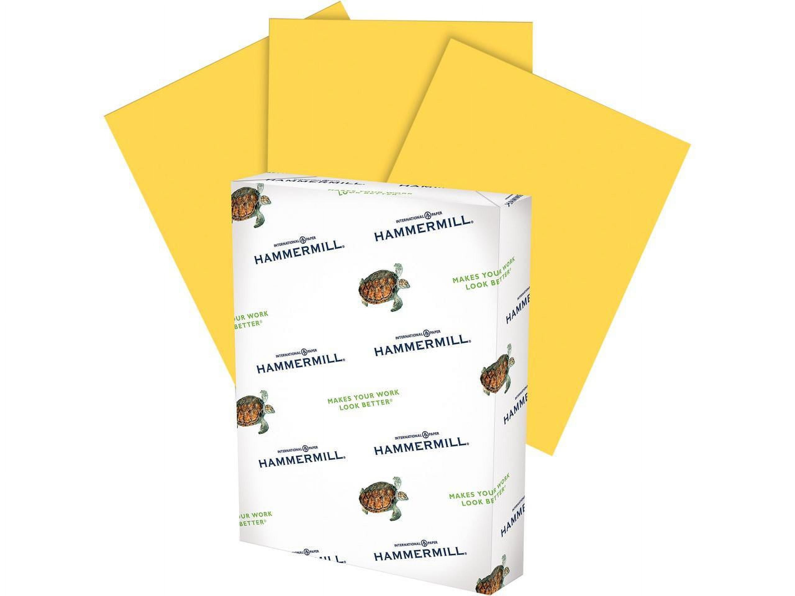 Hammermill 103168 Plain Copy Colorful Paper, 20lb, 8-1/2 x 11 ...