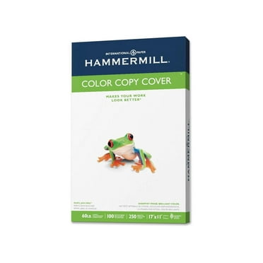 "Hammermill Colors Lilac Premium Printing Paper, 500 Sheets, 8.5"" x 11 ...