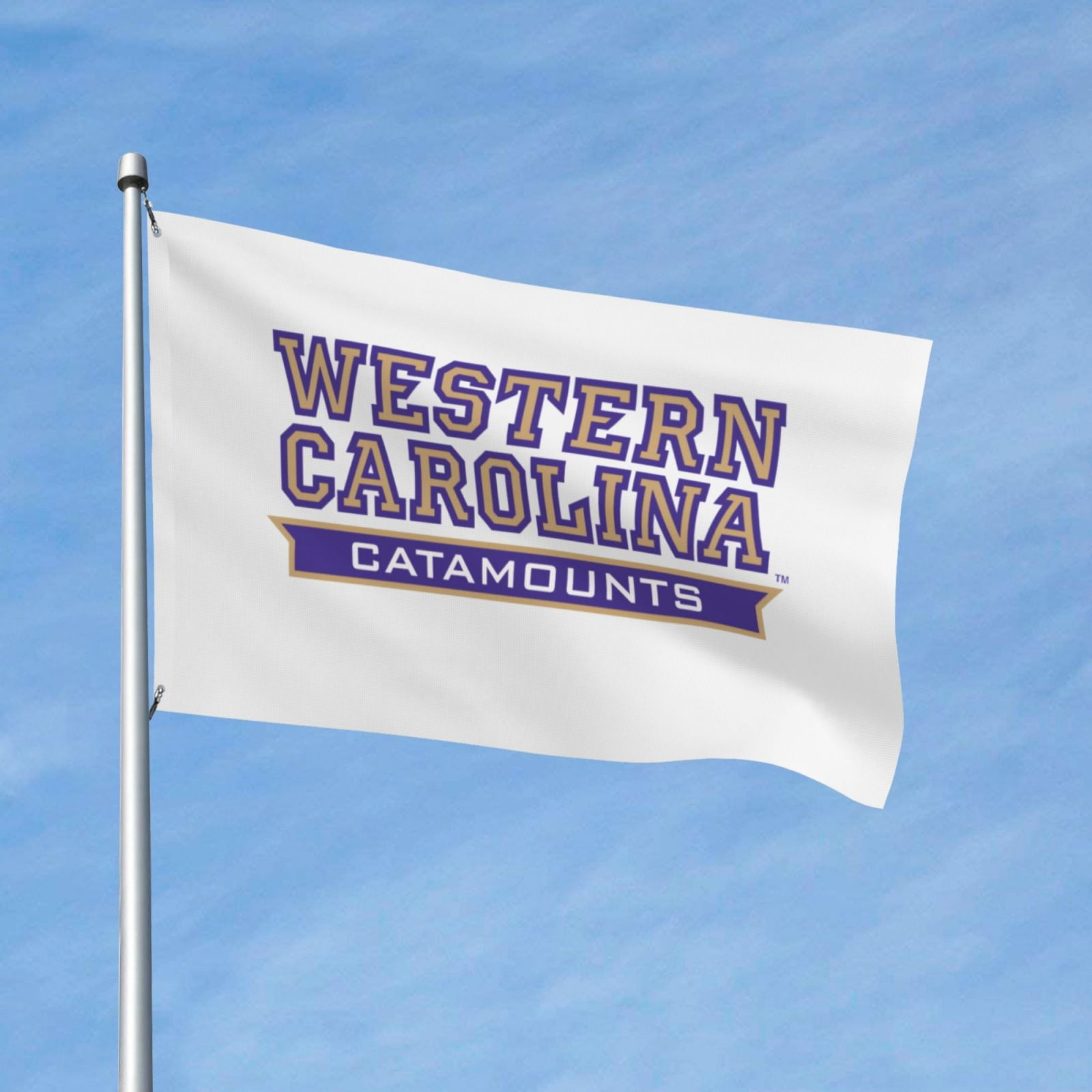 Hampton University Logo Flag 3x5 Ft Holiday Banner Garden Yard House ...