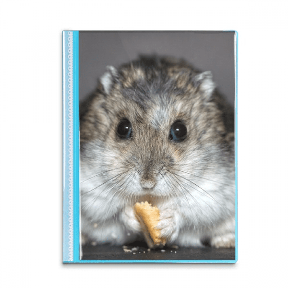 Hamster Animal Rat Pet Cute Eat Book Sheet Protectors Portfolio Binder ...