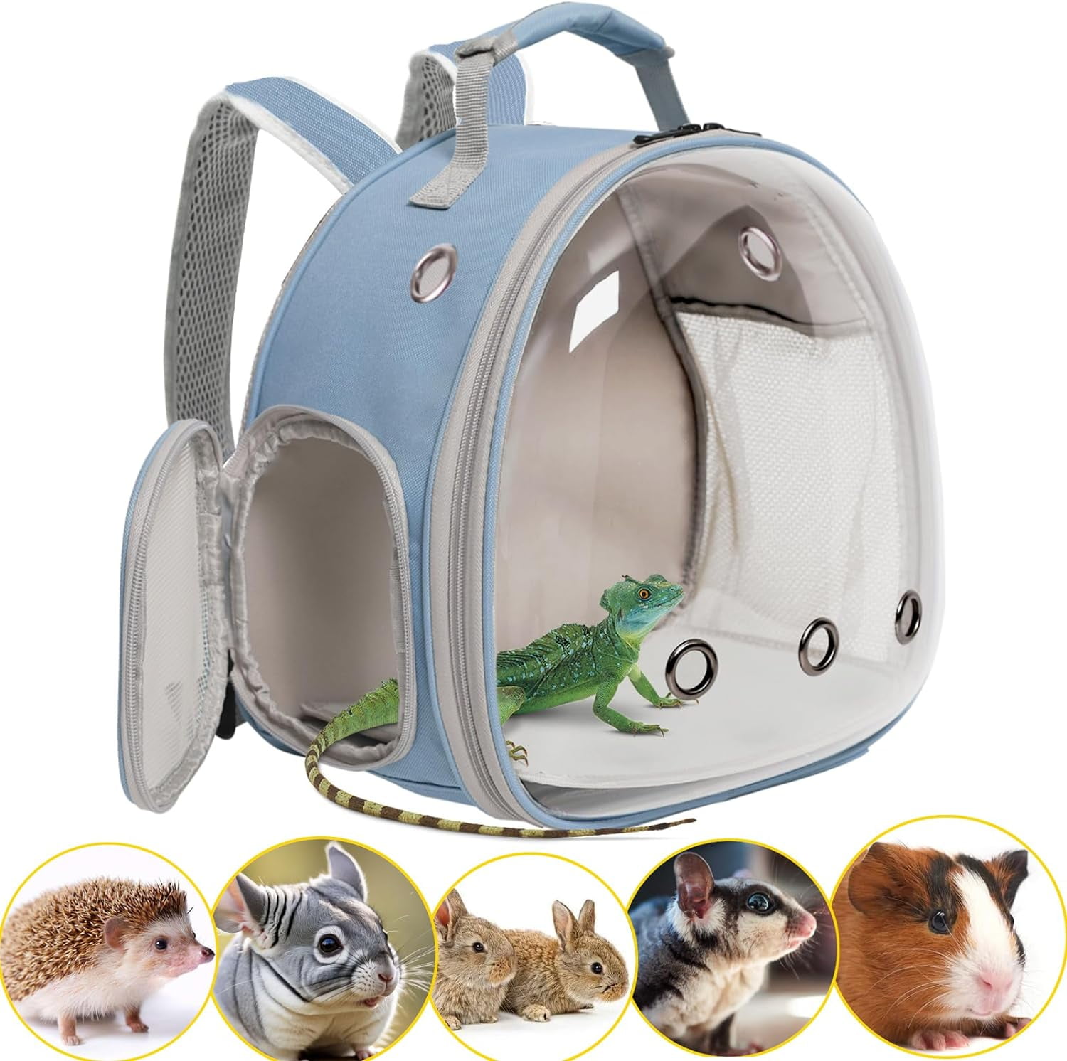 Hamster Backpack Carrier, Bearded Dragon Carrier Backpack with Clear ...