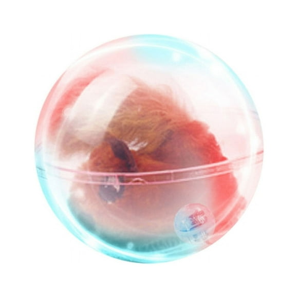 Cat Sized Hamster Ball