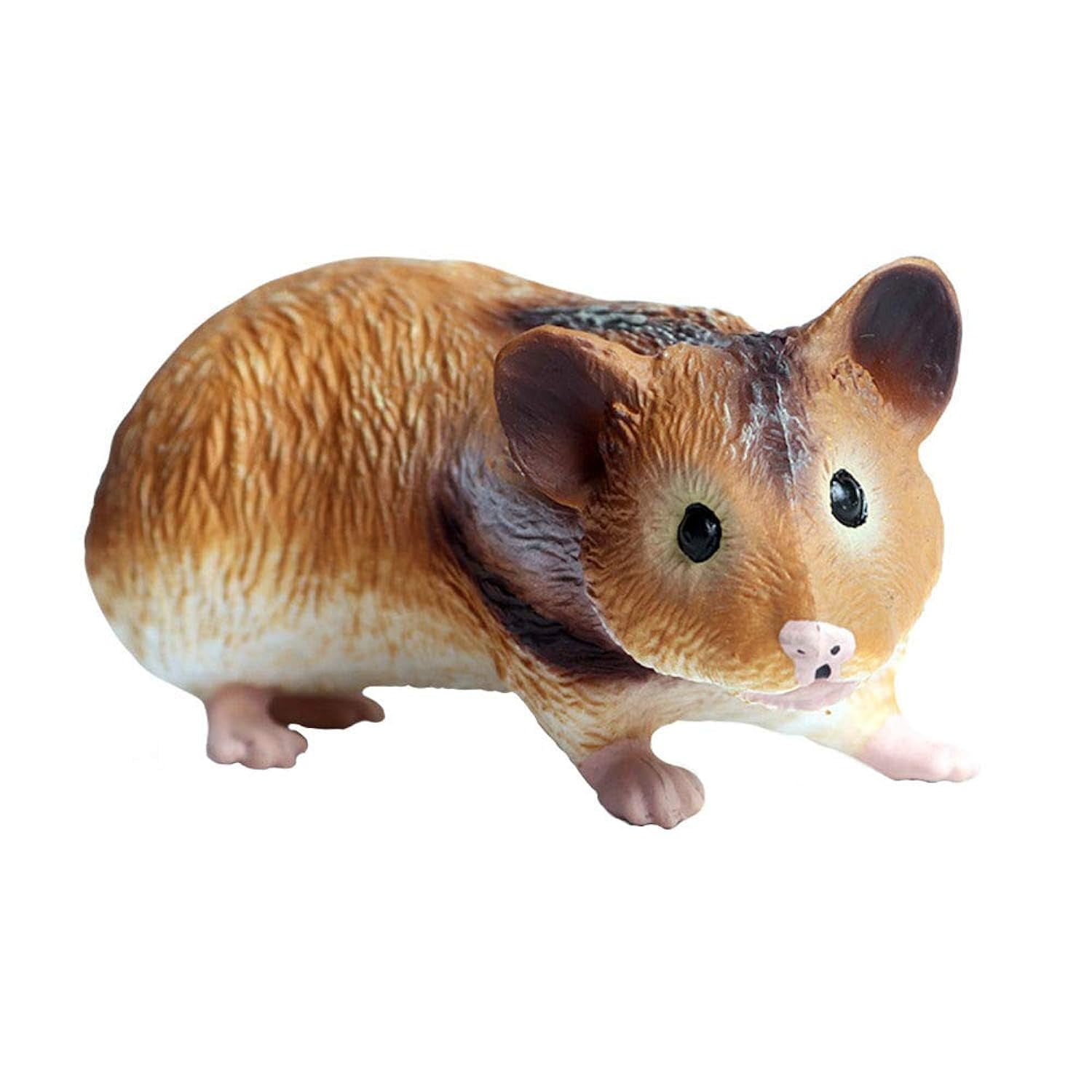 Hamster Figurines Realistic Animal Figures , Science Project, Cake ...
