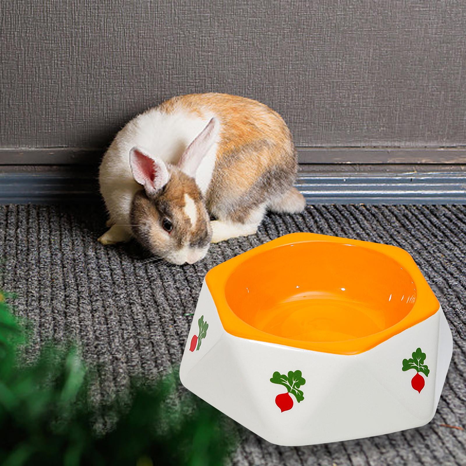 Hamster Food Bowl, Ceramic - Rabbit Food Dish and Water Bowl for Bunny ...