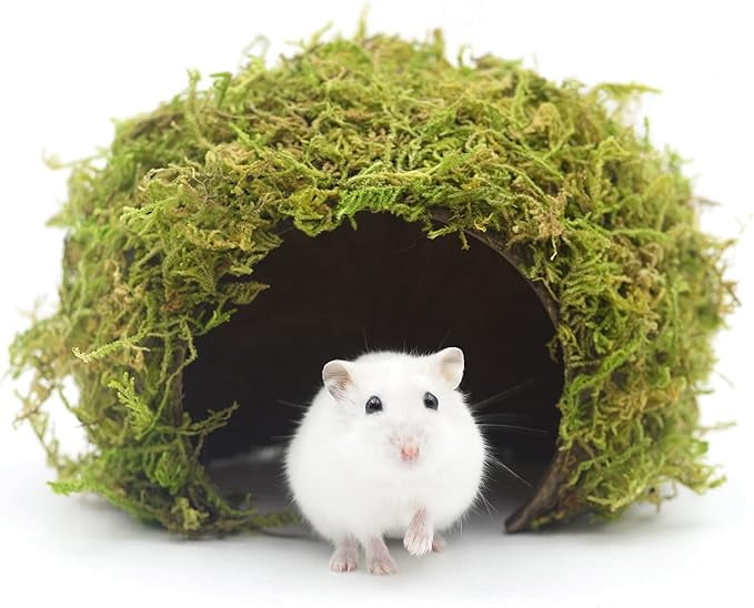 Hamster Hideaway,Hamster Hideout,Mossy Cave Hide,Hamster House/Hides ...