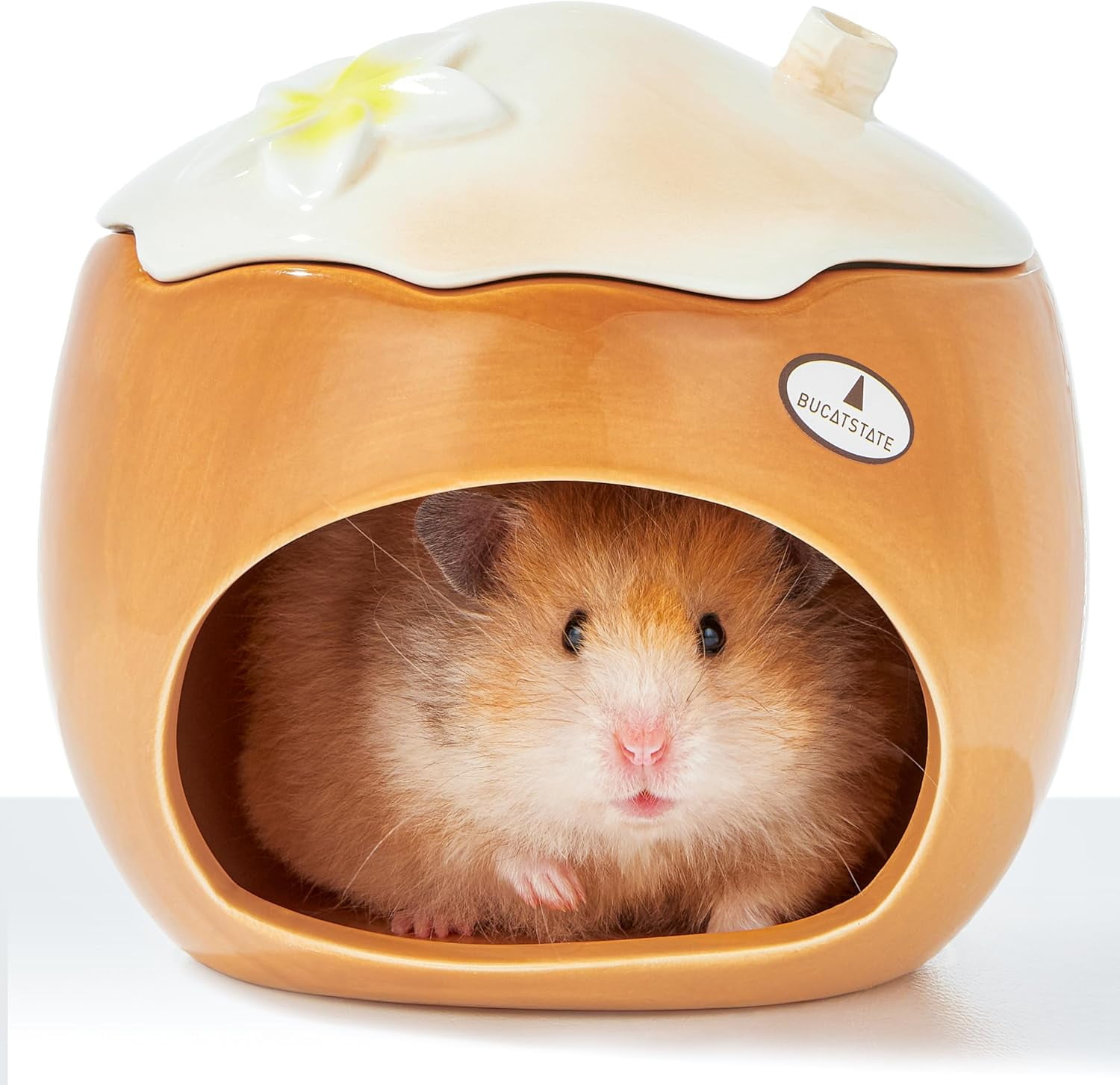 Hamster Hideout Ceramic, Coconut Shape Hamster House and Habitat for ...