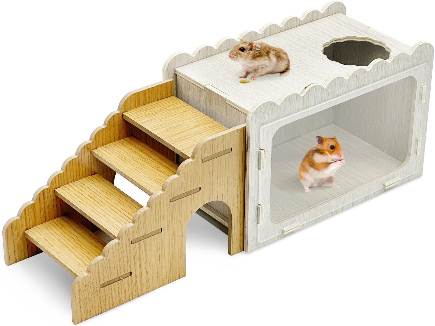 Hamster Hideout Wooden Chamber with Climbing Ladder, Visible Hamster ...