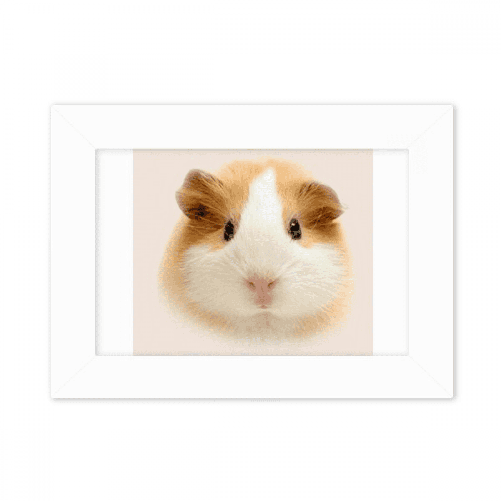 Hamster Pet Brown Hair Art Deco Fashion Photo Mount Frame Picture Art ...