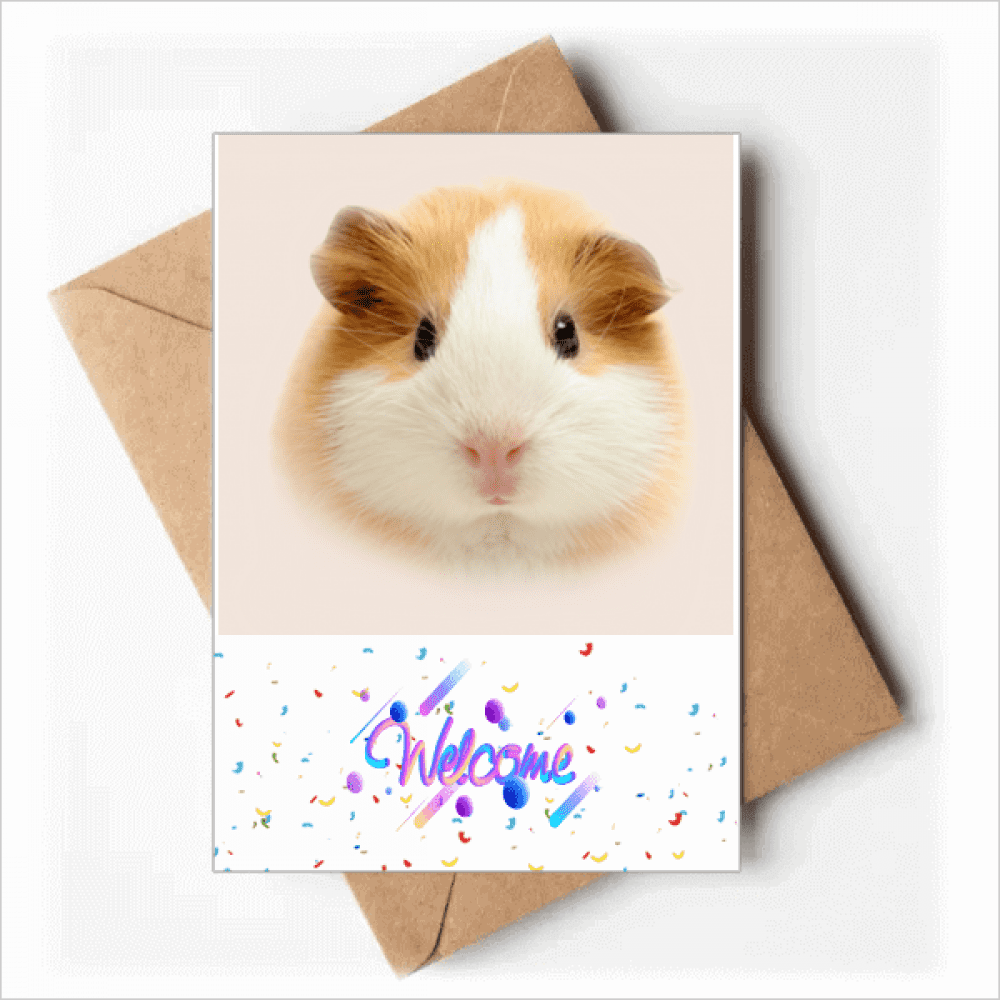 Hamster Pet Brown Hair Art Deco Fashion Welcome Back Greeting Cards ...