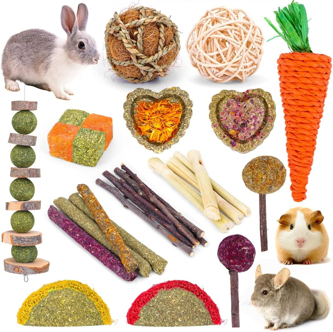 Hamster Toys Set, Guinea Pig Toys Small Animal Chewing Toy and Rat Cage ...