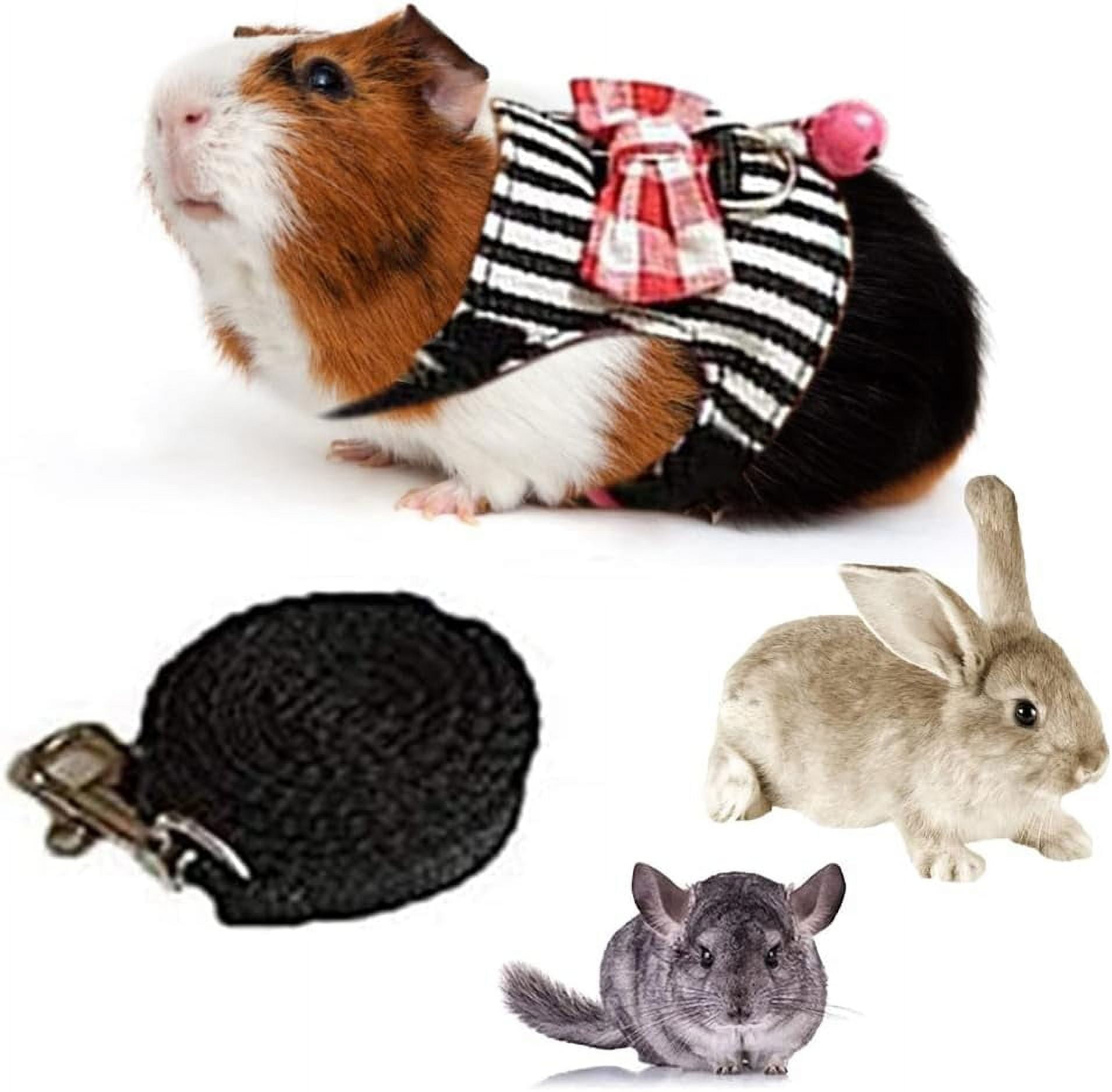 Hamster Vest Harness and Leash Set Outdoor Walking Cute Bow-Knot and ...
