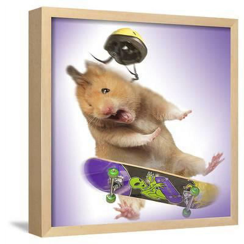 Hamster with Skateboard and Helmet, Framed Art Print Wall Art Sold by ...