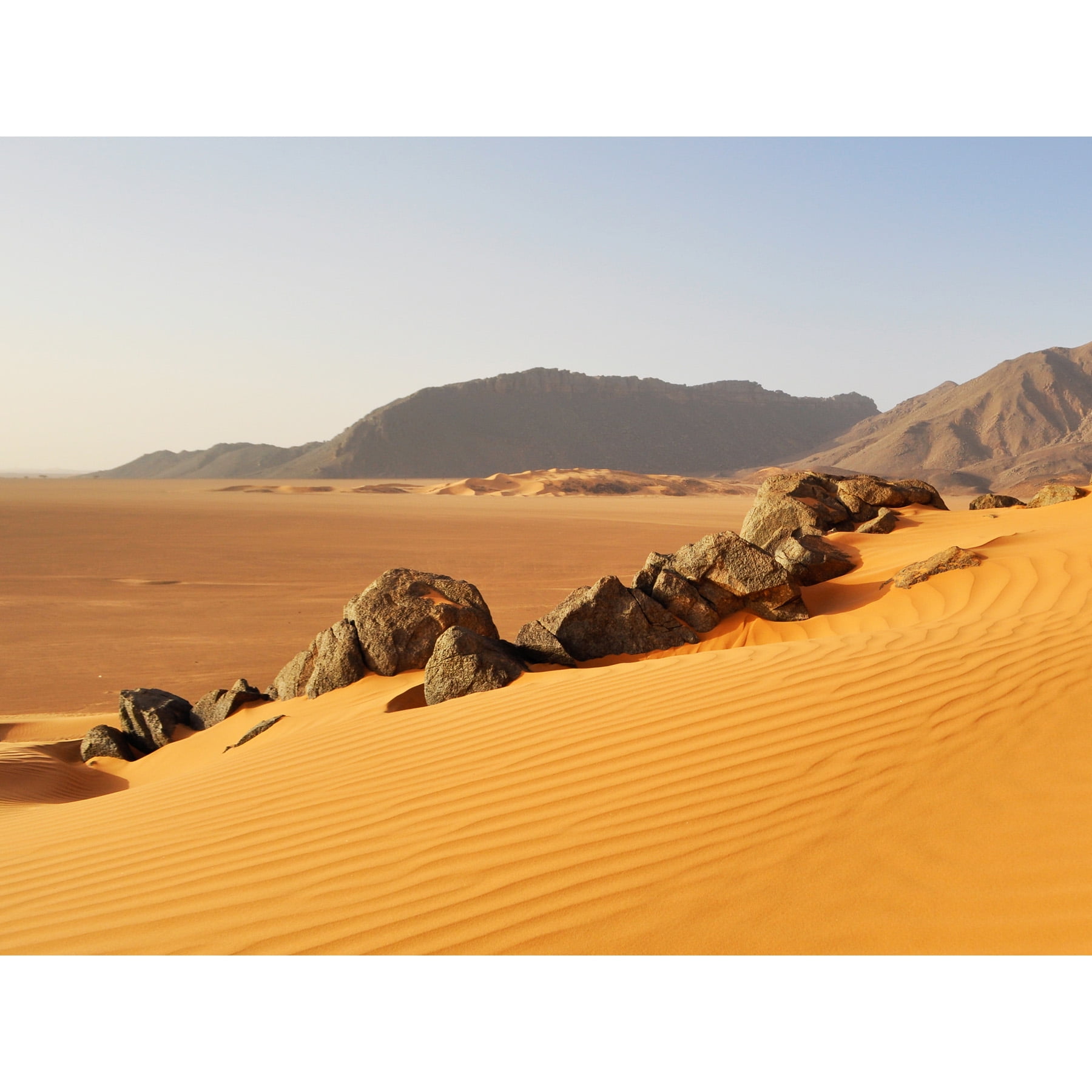 Hamza-sia Sand Dune Ahaggar Algeria Desert Photo Extra Large XL Wall ...